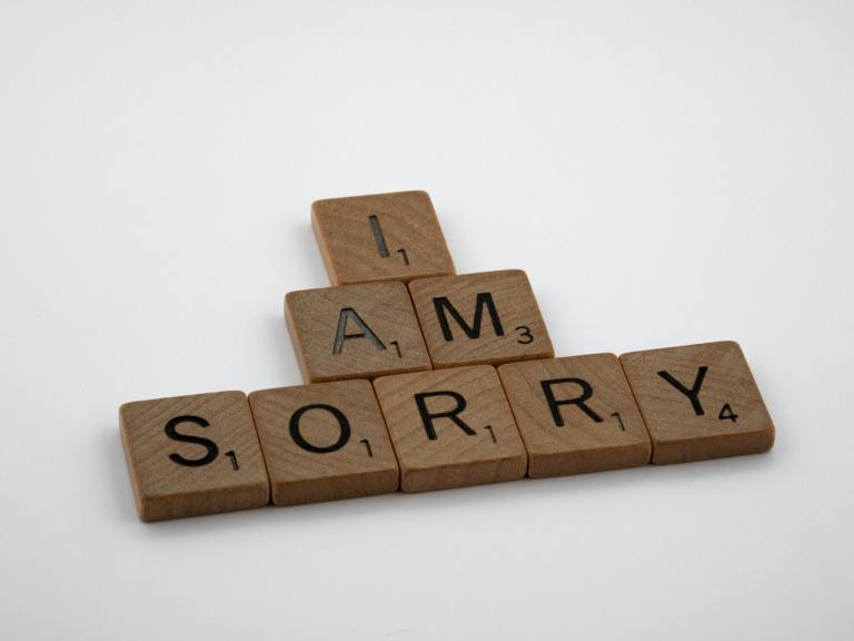 My Humble Apology – The Wandering Enigma